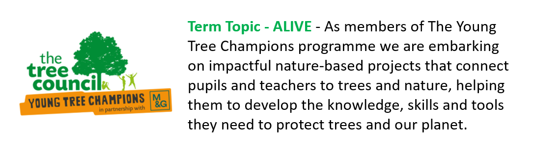 tree council – Burghfield St Mary's Church of England Primary School